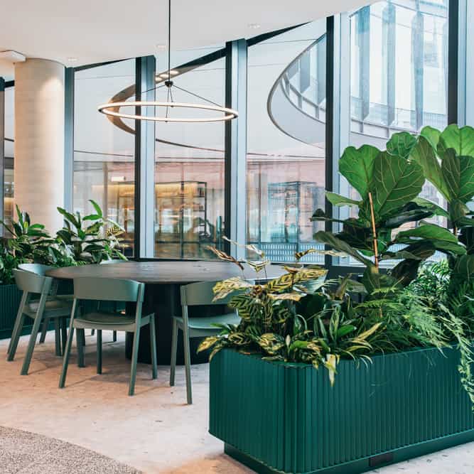 Sydney Indoor Plant Hire - Sydney Indoor Plant Hire